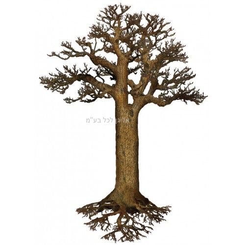 אליגן לכל | ערכה ללוח תוכן העץ וחלקיו | חגים ועונות